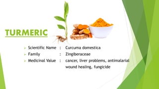 Medicinal Plants.pdf
