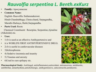 Medicinal Plants.pptx