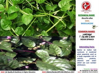 MEDICINAL PLANTS INFORMATION AND THEIR USES | PPTX
