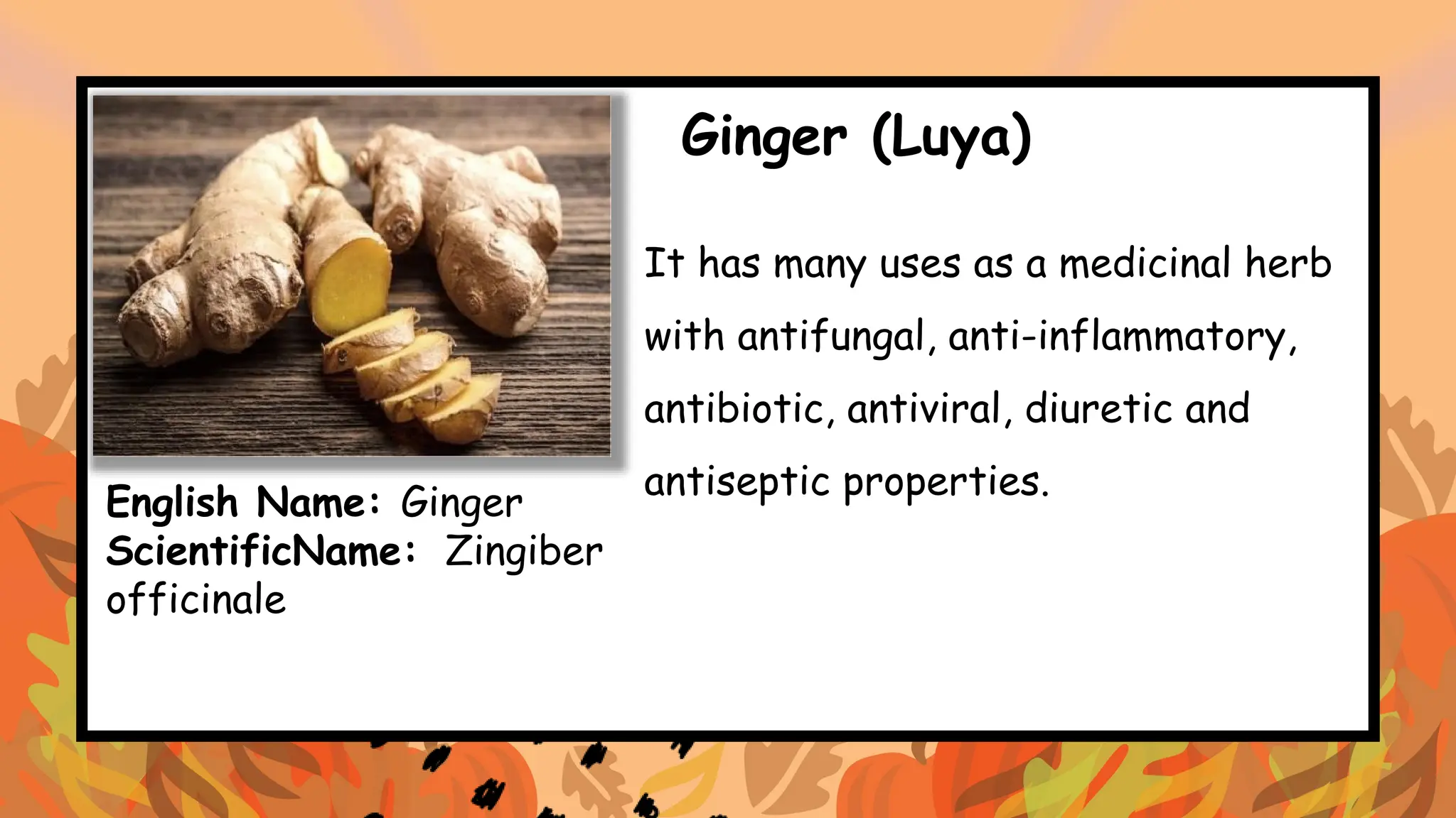 Medicinal Plants for grade 3 science .pptx