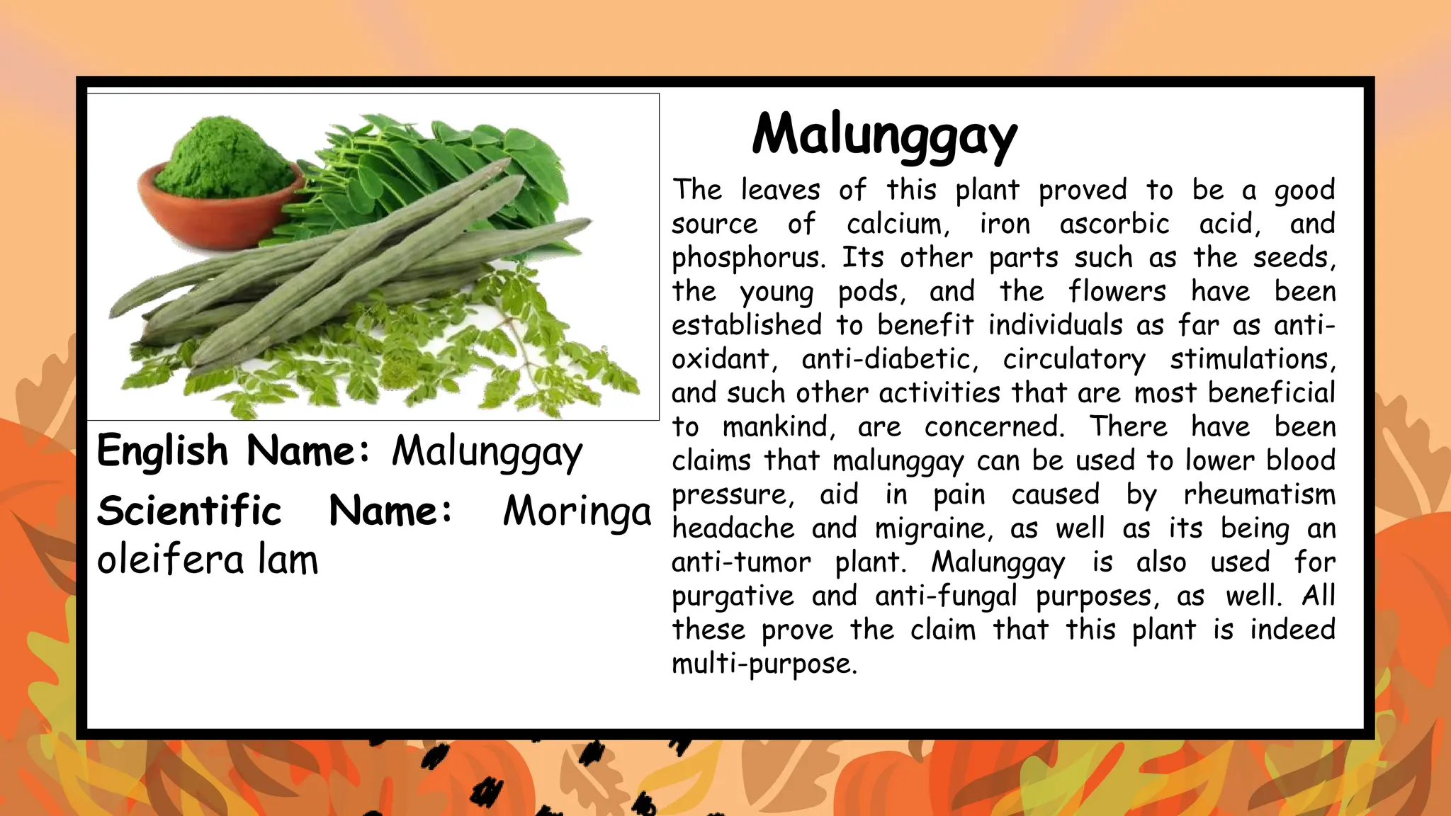 Medicinal Plants for grade 3 science .pptx