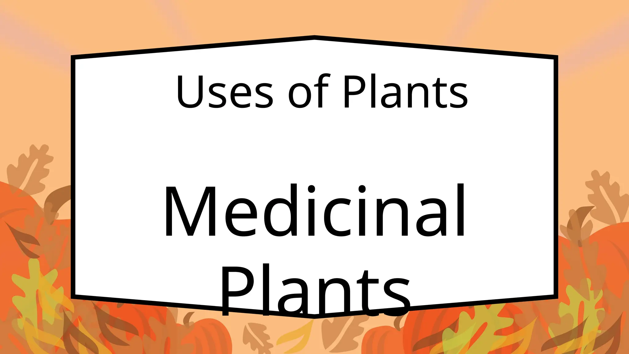 Medicinal Plants for grade 3 science .pptx