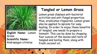 Medicinal Plants for grade 3 science .pptx