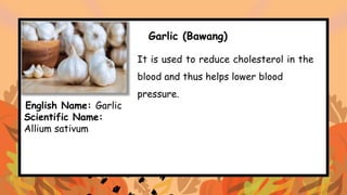 Medicinal Philippine Plants for Grade 3 .pptx