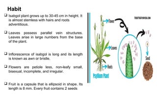 Medicinal Plants, their bioactive compounds and economic importance | PPTX