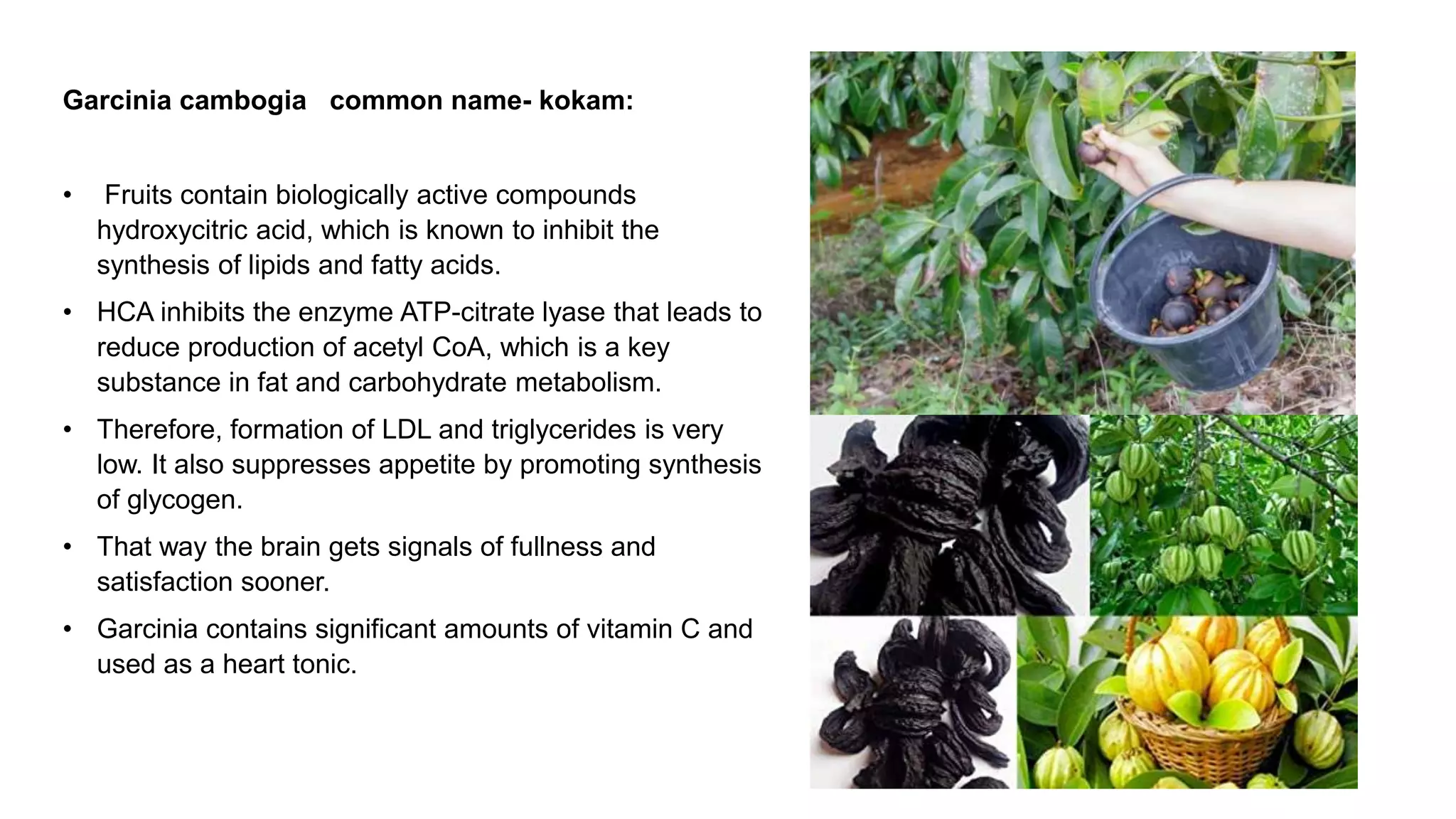 Medicinal plants introduction | PPTX