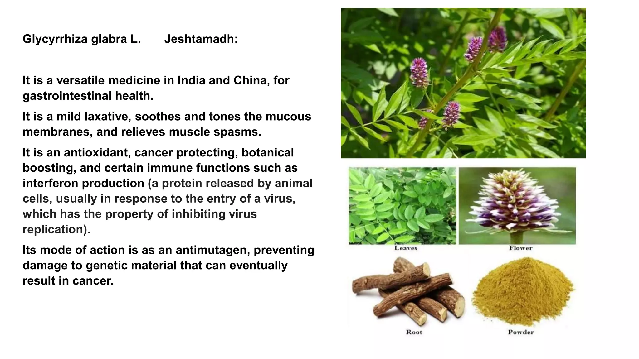 Medicinal plants introduction | PPTX