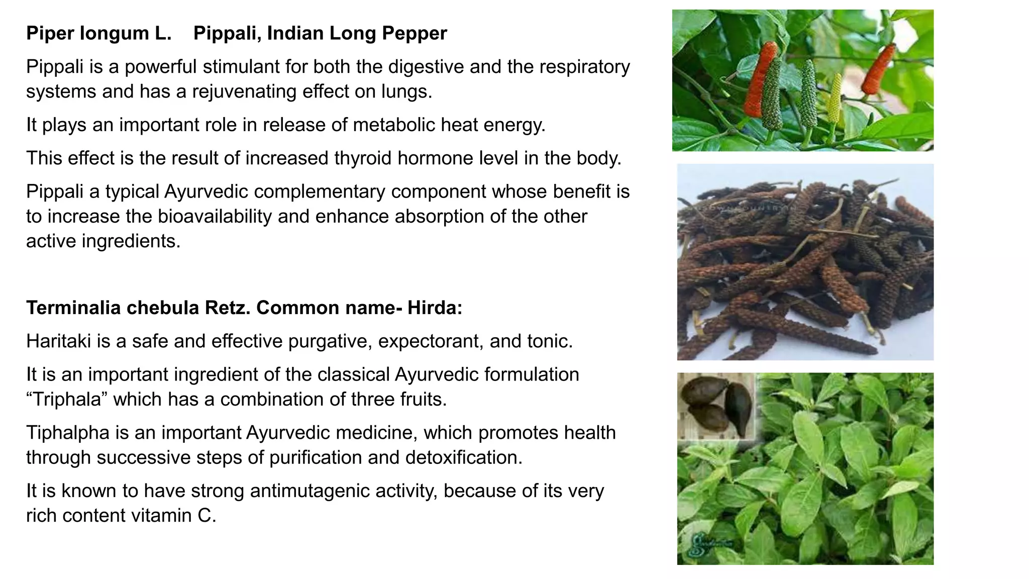 Medicinal plants introduction | PPTX