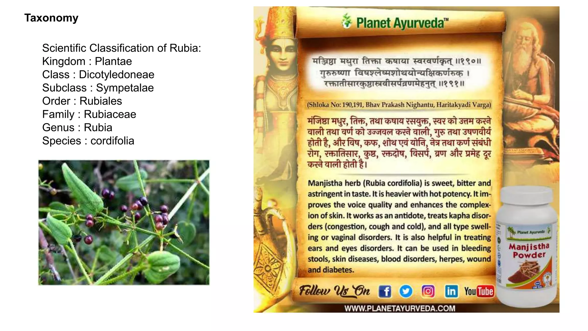 Medicinal plants introduction | PPTX