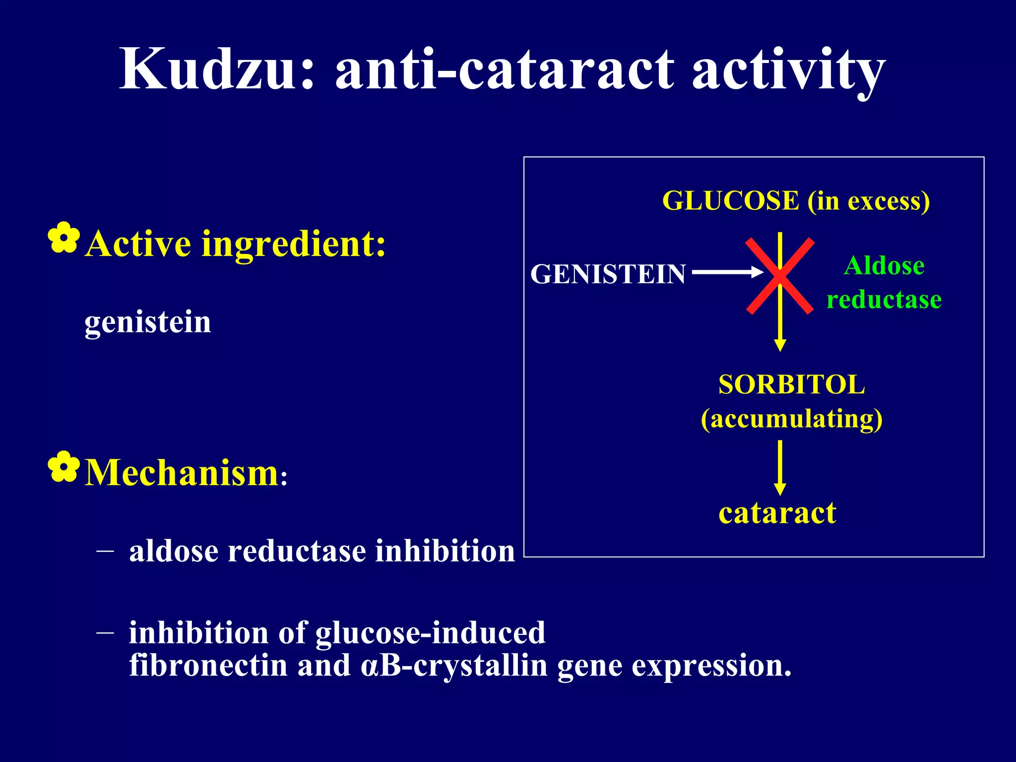 Medicinal plants - the future in cataract therapy | PPT