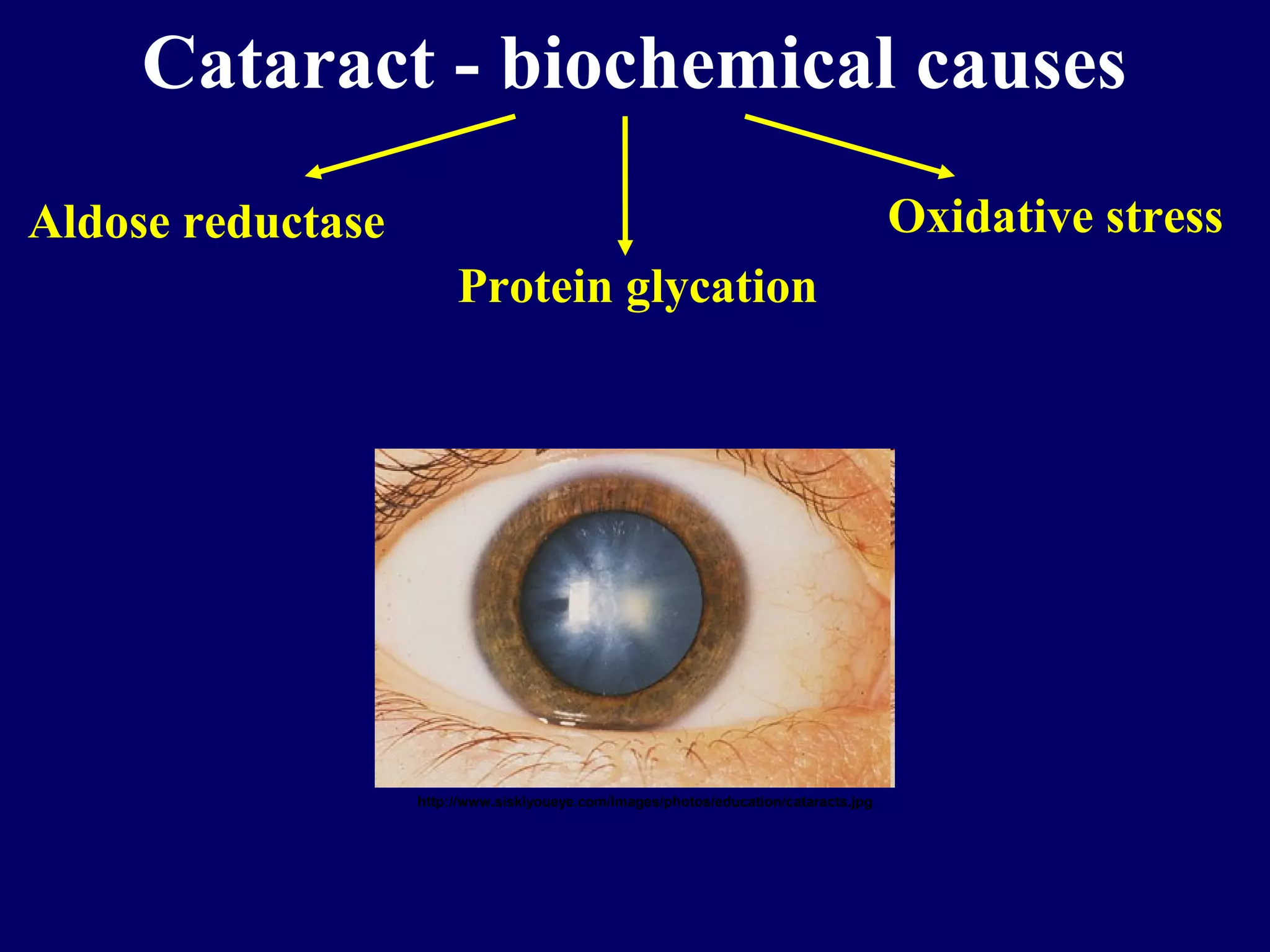 Medicinal plants - the future in cataract therapy | PPT