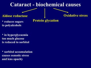 Medicinal plants - the future in cataract therapy | PPT