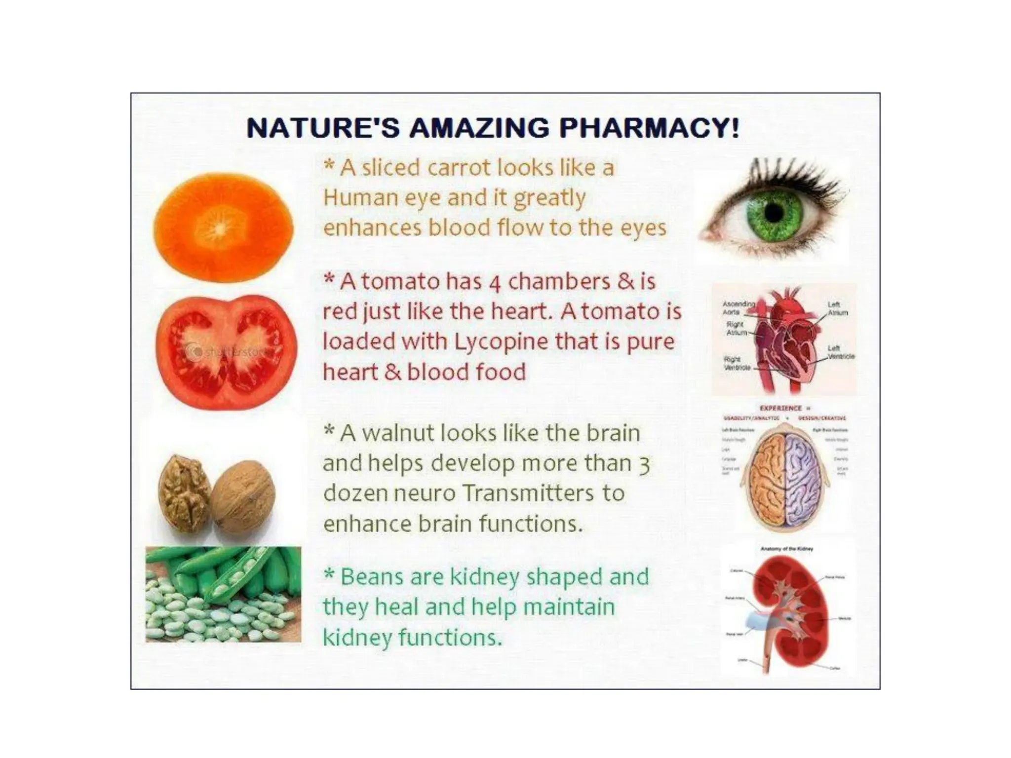 MEDICINAL AND AROMATIC PLANTS (based on TU/IAAS) | PDF