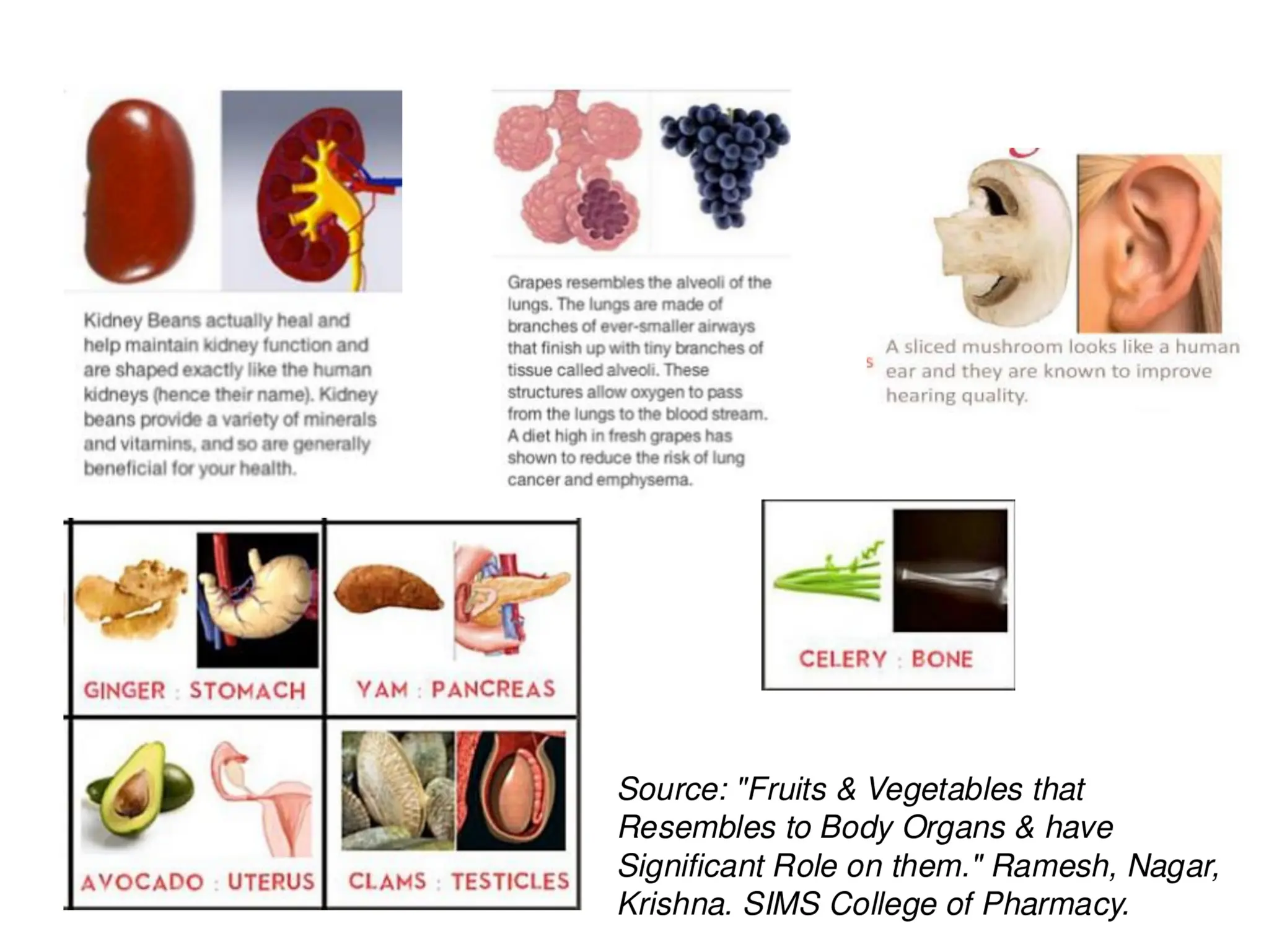 MEDICINAL AND AROMATIC PLANTS (based on TU/IAAS) | PDF