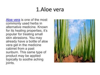 Medicinal plants and arthritis A series of Presentation By Mr. Allah D ...