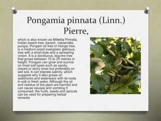 Medicinal plants and diarrhea A series of Presentation By Mr. Allah Dad ...