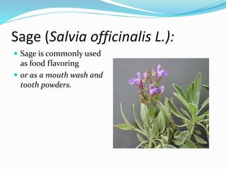 Medicinal plants and drugs (2) (1) | PPTX