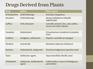 Medicinal plants and its importance in making drugs.pptx
