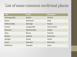 Medicinal plants and its importance in making drugs.pptx