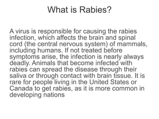 Medicinal plants and rabies A series of Lectures By Mr. Allah Dad Khan ...