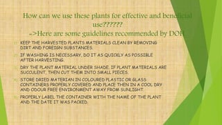 Medicinal plants and their uses | PPTX