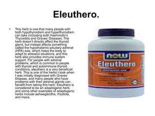 Medicinal plants and thyroid A series of Lectures By Mr. Allah Dad Khan ...