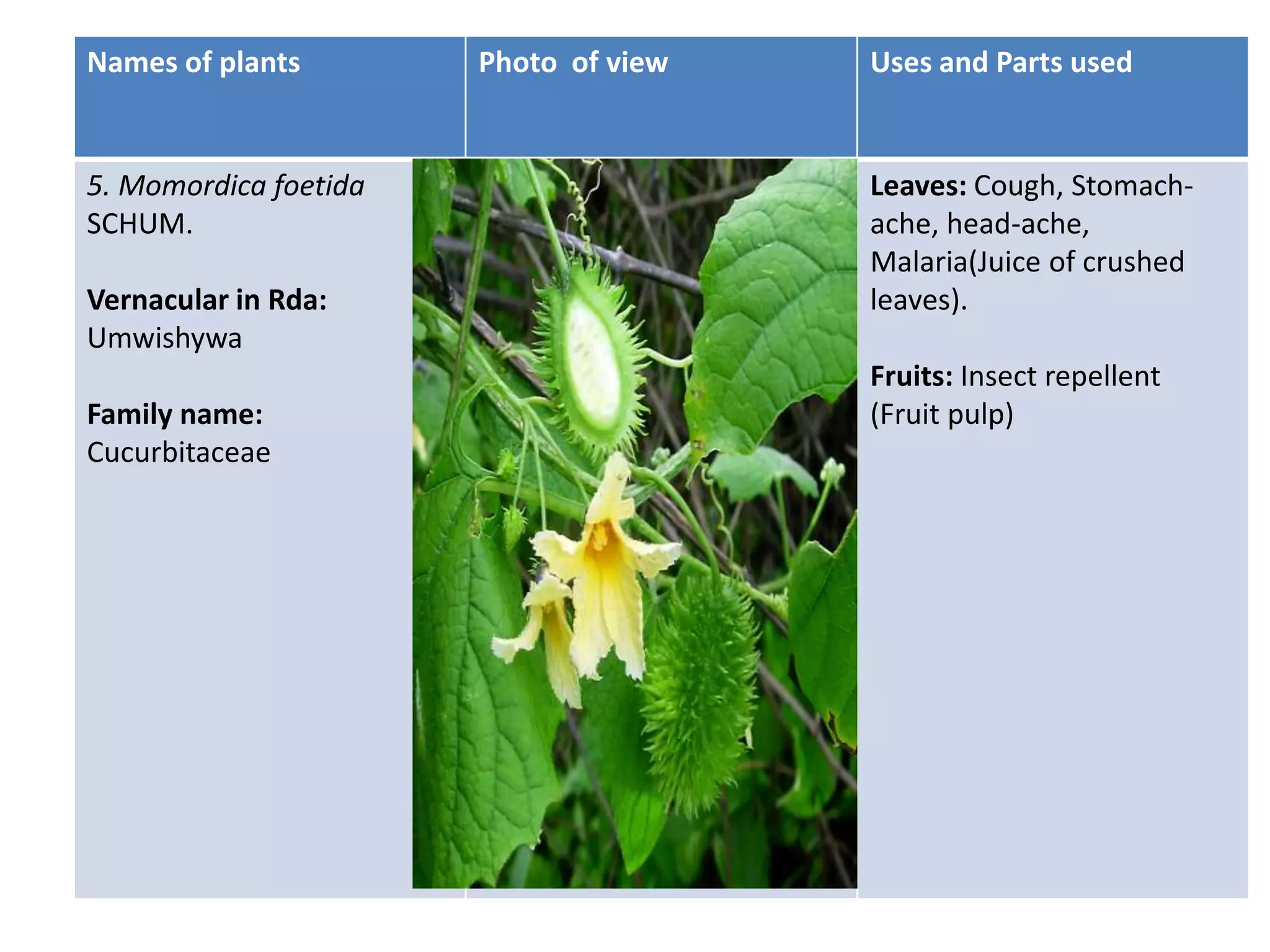 Medicinal plants entered into trade in Rwanda by Olivier MANIRIHO | PPTX