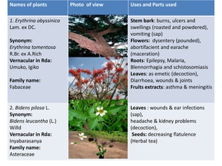 Medicinal plants entered into trade in Rwanda by Olivier MANIRIHO | PPTX