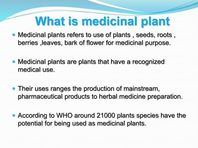 Medicinal plants in daily life | PPTX