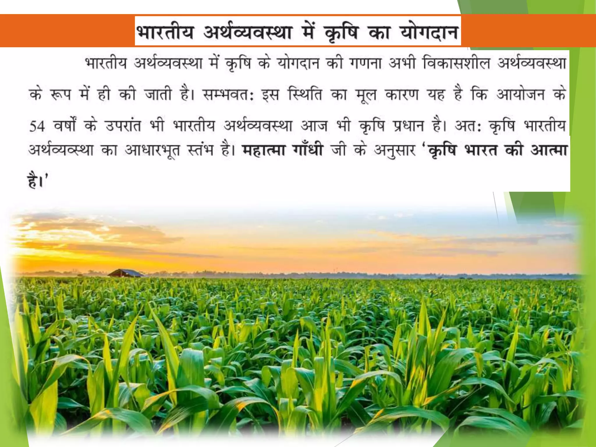 Medicinal Plants ki Kheti | PPTX