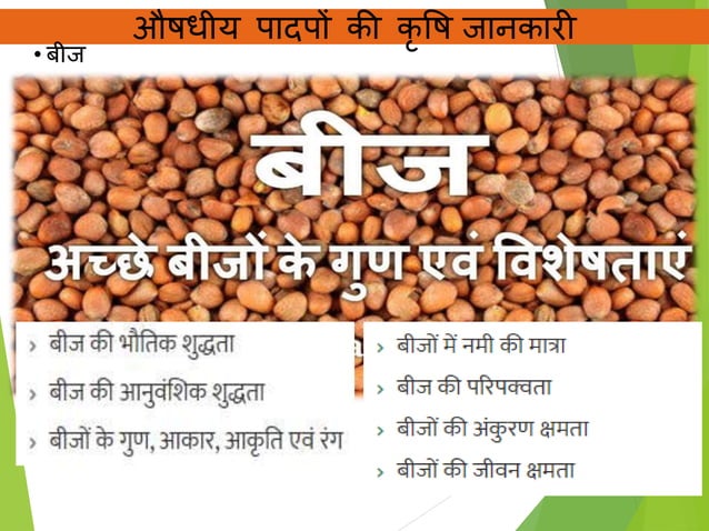 Medicinal Plants ki Kheti | PPTX
