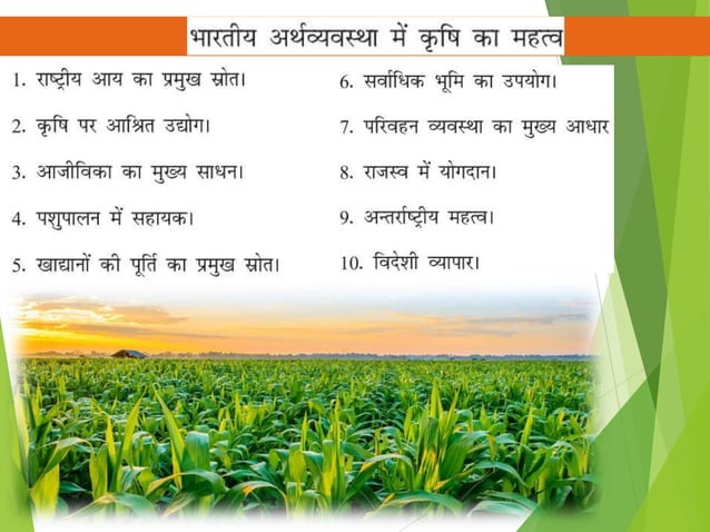 Medicinal Plants ki Kheti | PPTX
