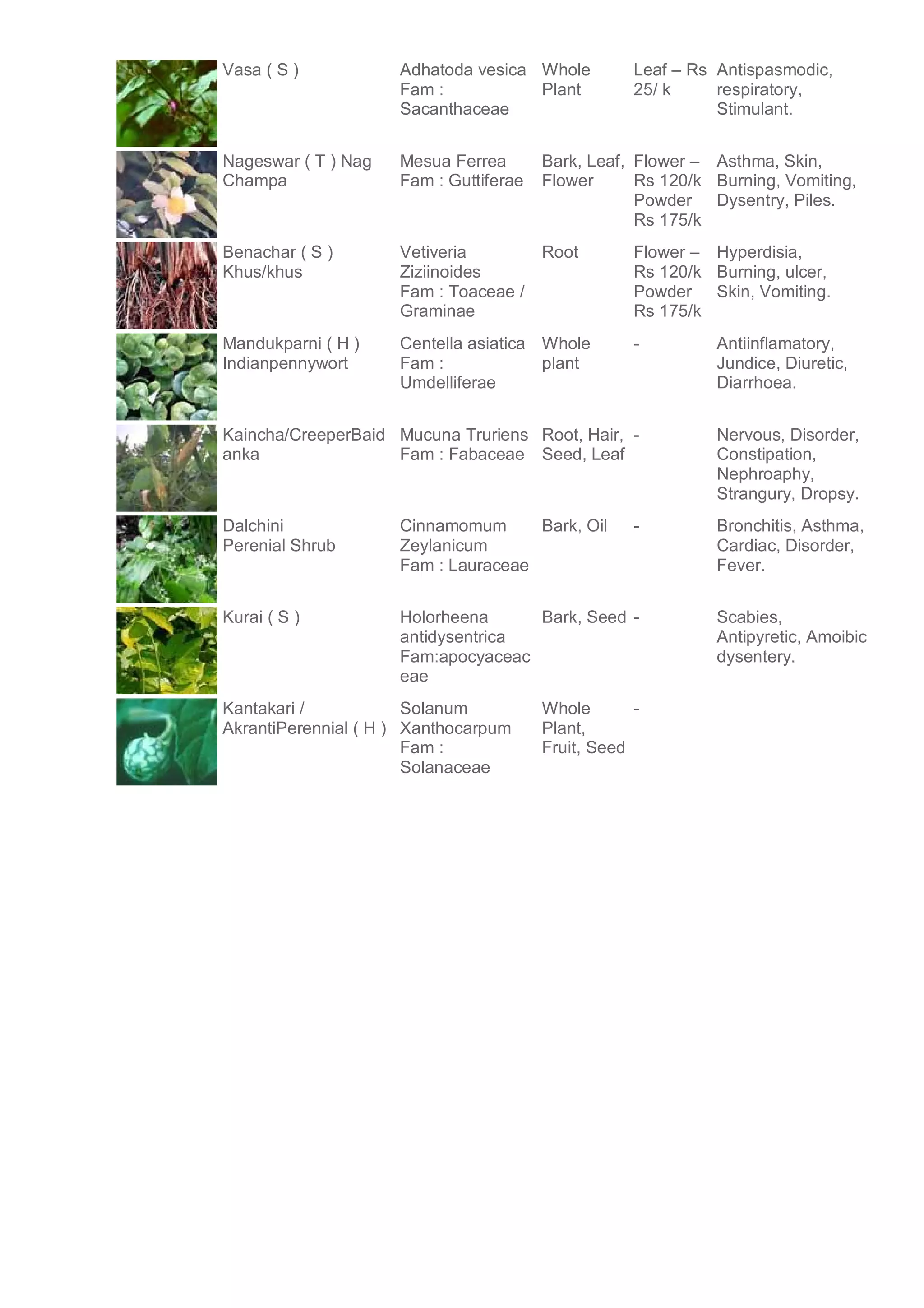 what are the 10 medicinal plants and their benefits