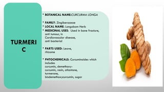 MEDICINAL PLANTS OF ARUNACHAL PRADESH AND ITS USES.PPTX