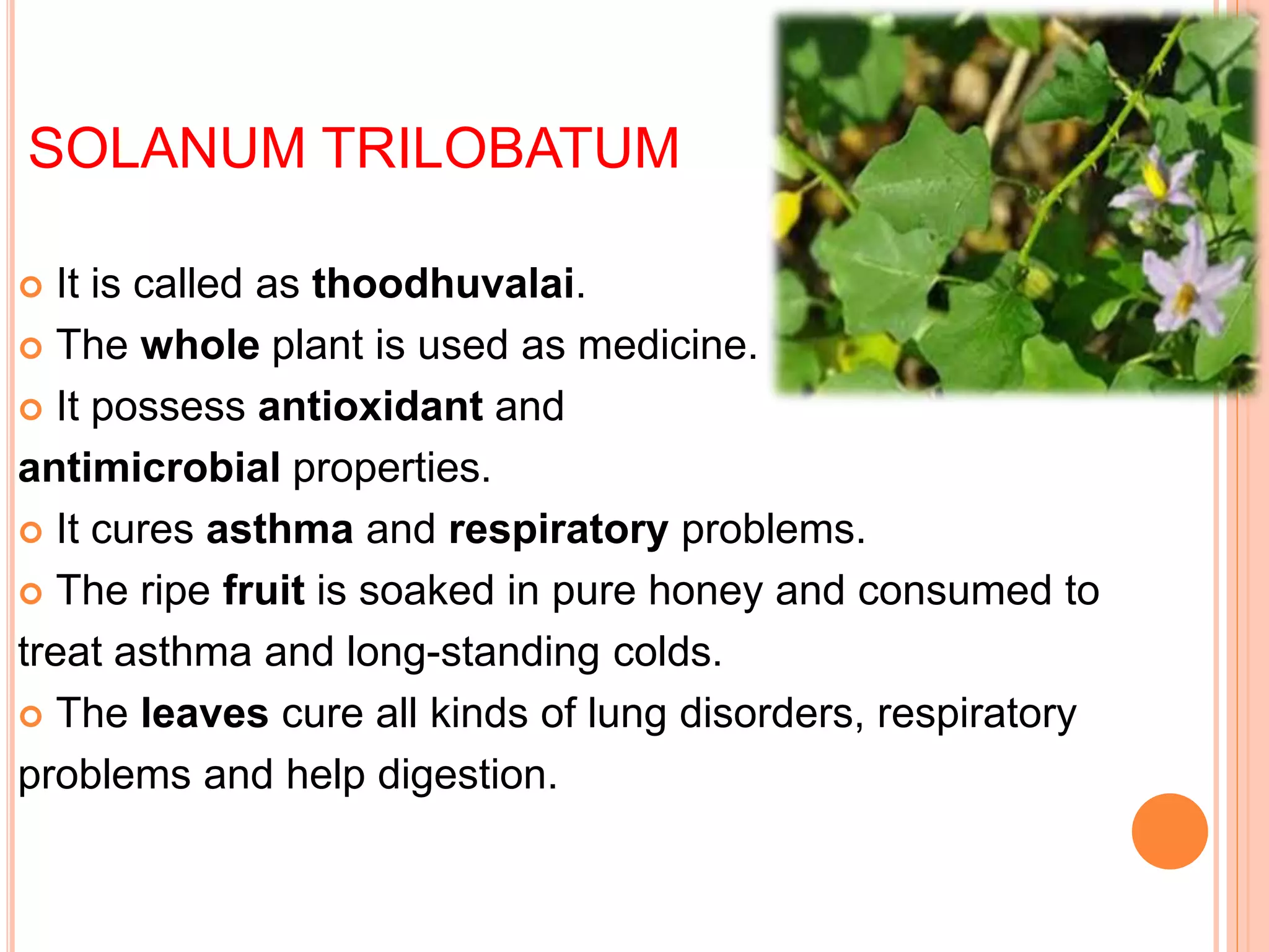 Medicinal plants of_india | PPTX