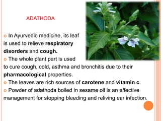 Medicinal plants of_india | PPTX | Herbs and Supplements | Alternative ...