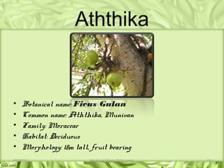 Medicinal plants of Sri Lanka | PPT
