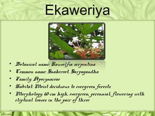 Medicinal plants of Sri Lanka | PPT
