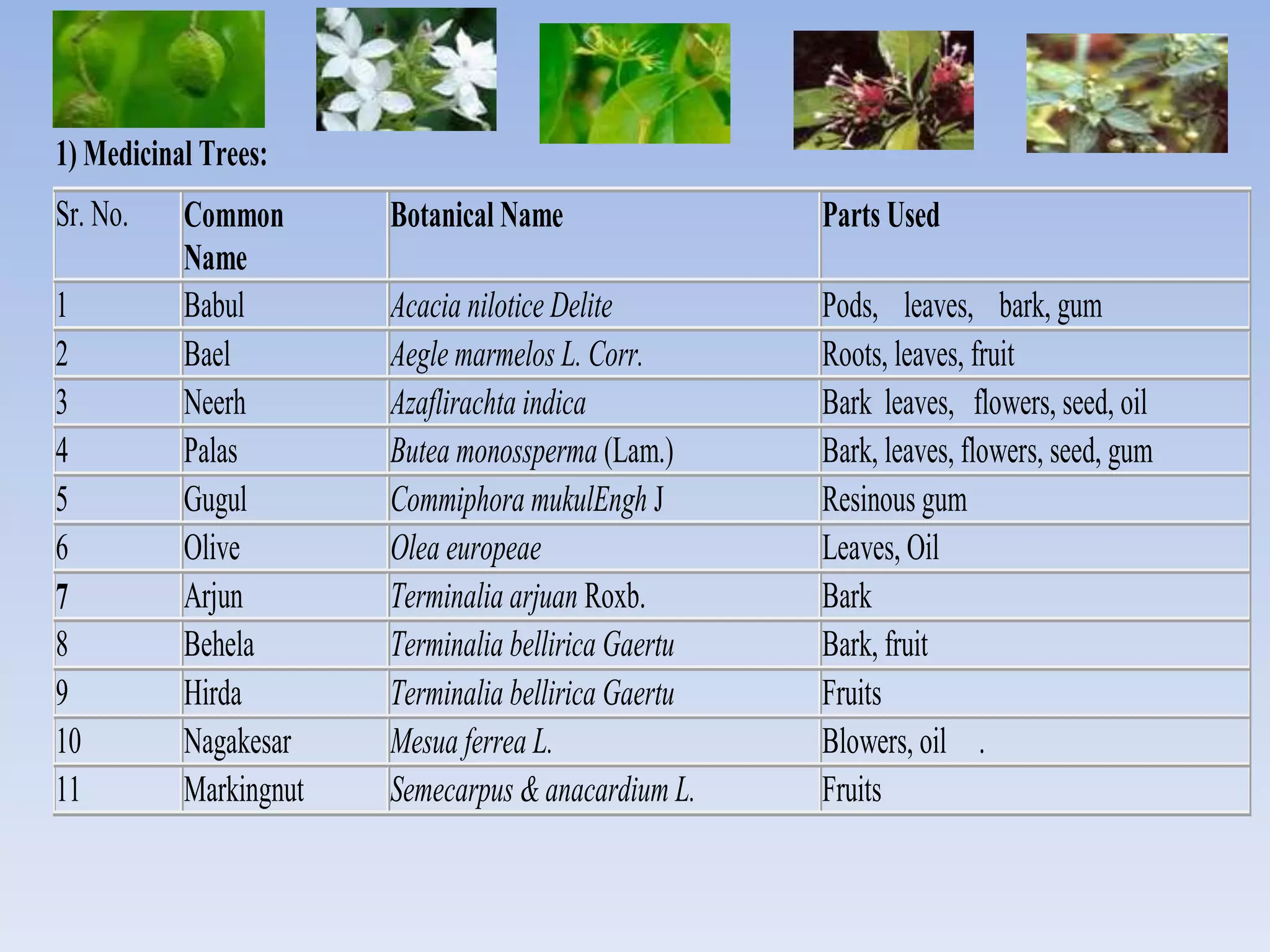 Medicinal plants importance,scope and uses. | PPTX