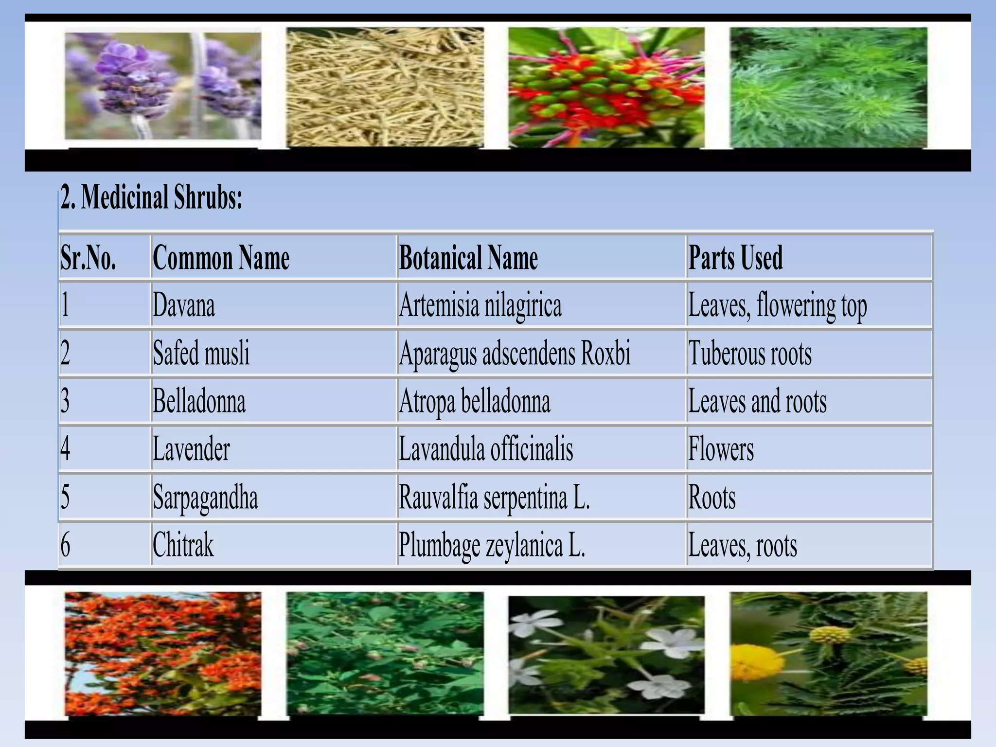 Medicinal plants importance,scope and uses. | PPTX