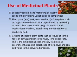 Medicinal plants importance,scope and uses. | PPTX
