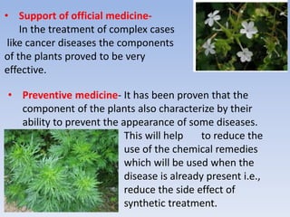 Medicinal plants importance,scope and uses. | PPTX