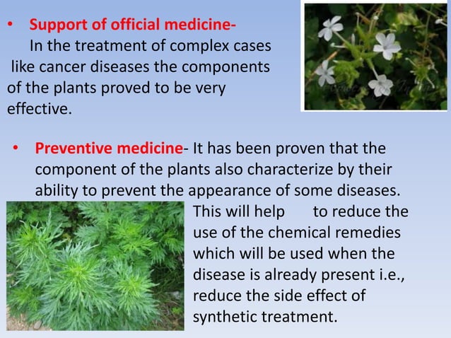 Medicinal plants importance,scope and uses. | PPTX | Herbs and ...