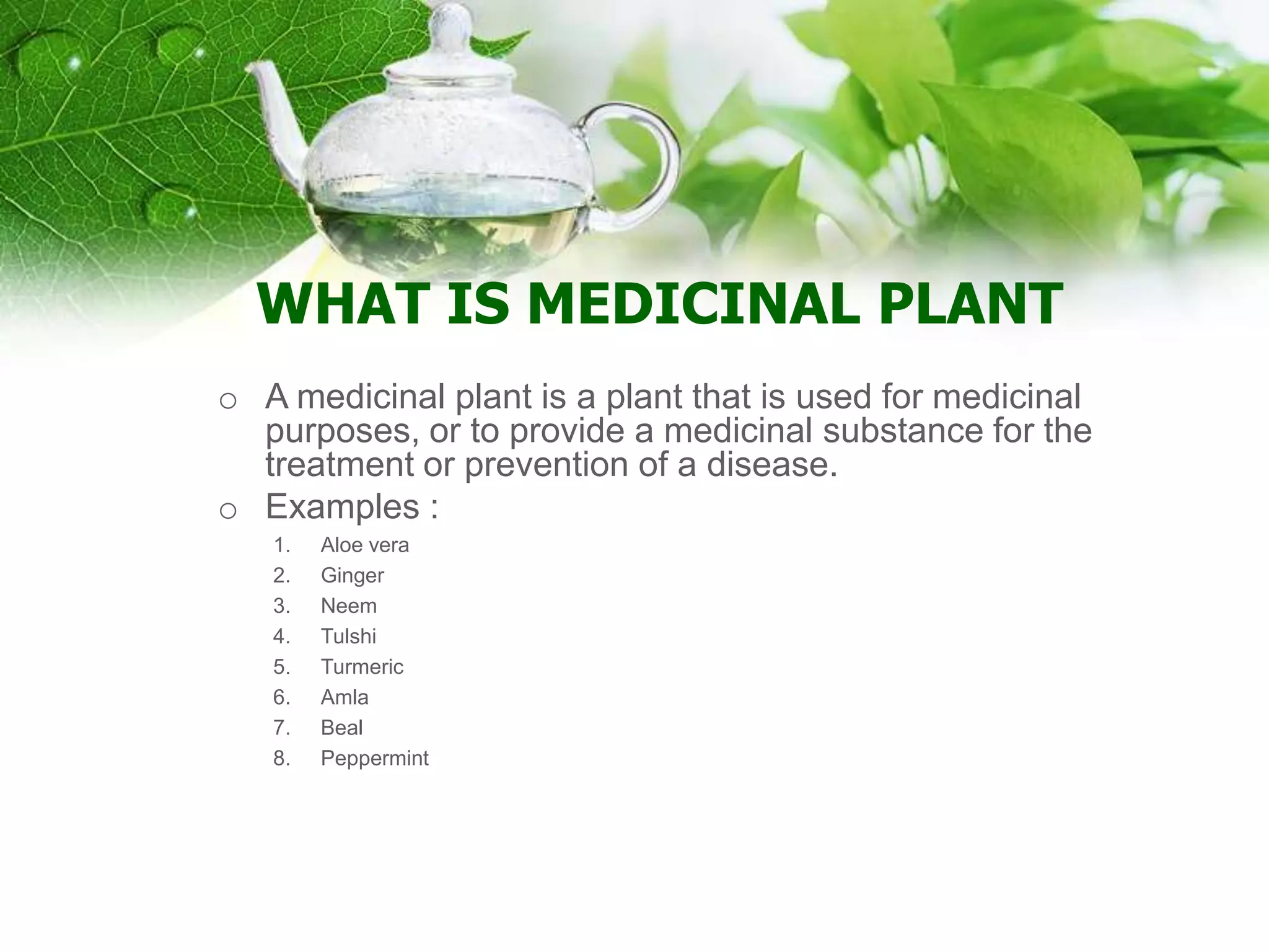 medicinal_plants_ppt.pptx