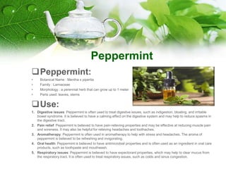 medicinal_plants_ppt.pptx
