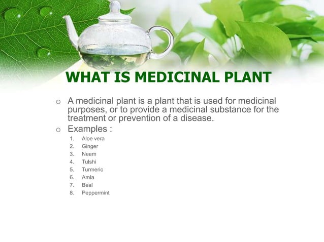 medicinal_plants_ppt.pptx | Herbs and Supplements | Alternative Medicine