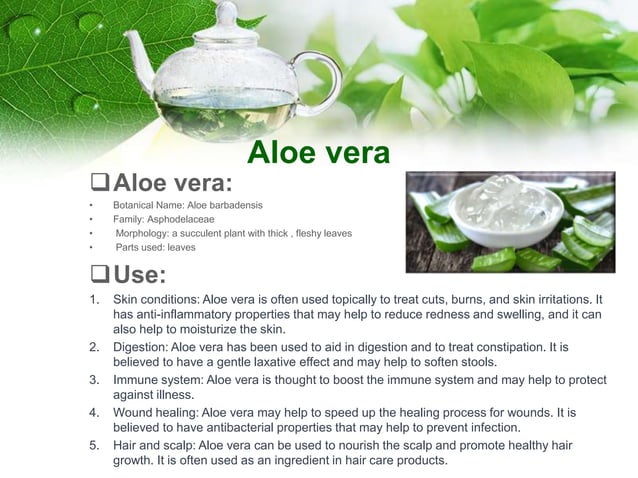 medicinal_plants_ppt.pptx | Herbs and Supplements | Alternative Medicine