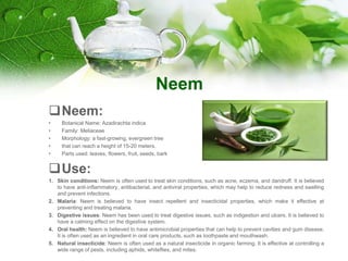 medicinal_plants_ppt.pptx