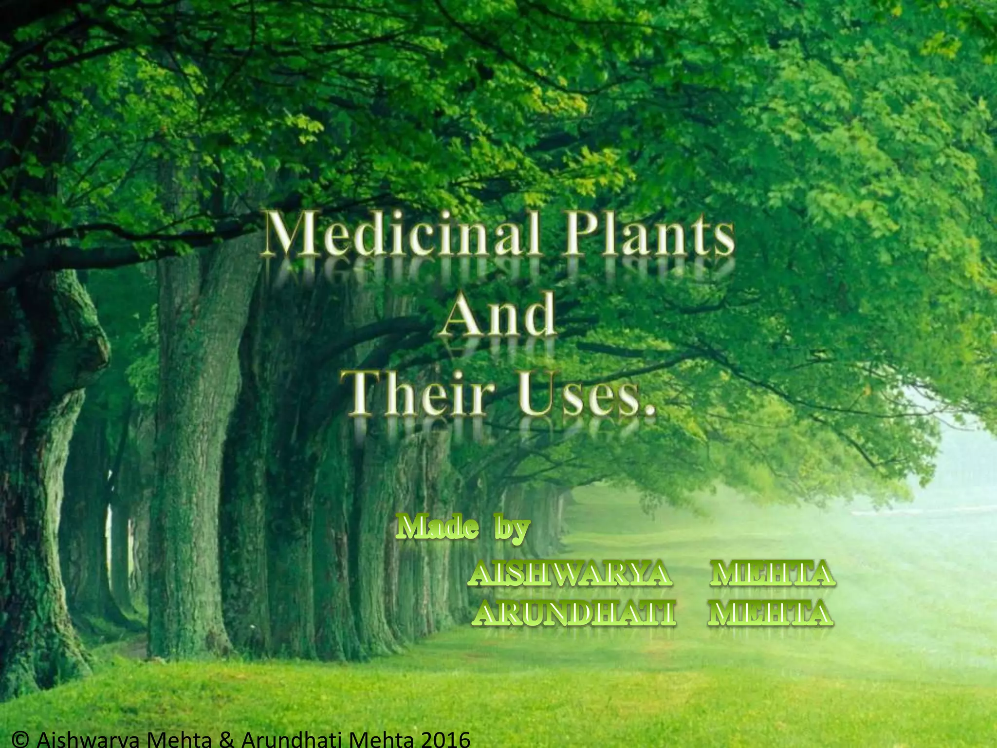 Medicinal plants & their uses | PPTX