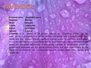 Medicinal plants & their uses | PPTX